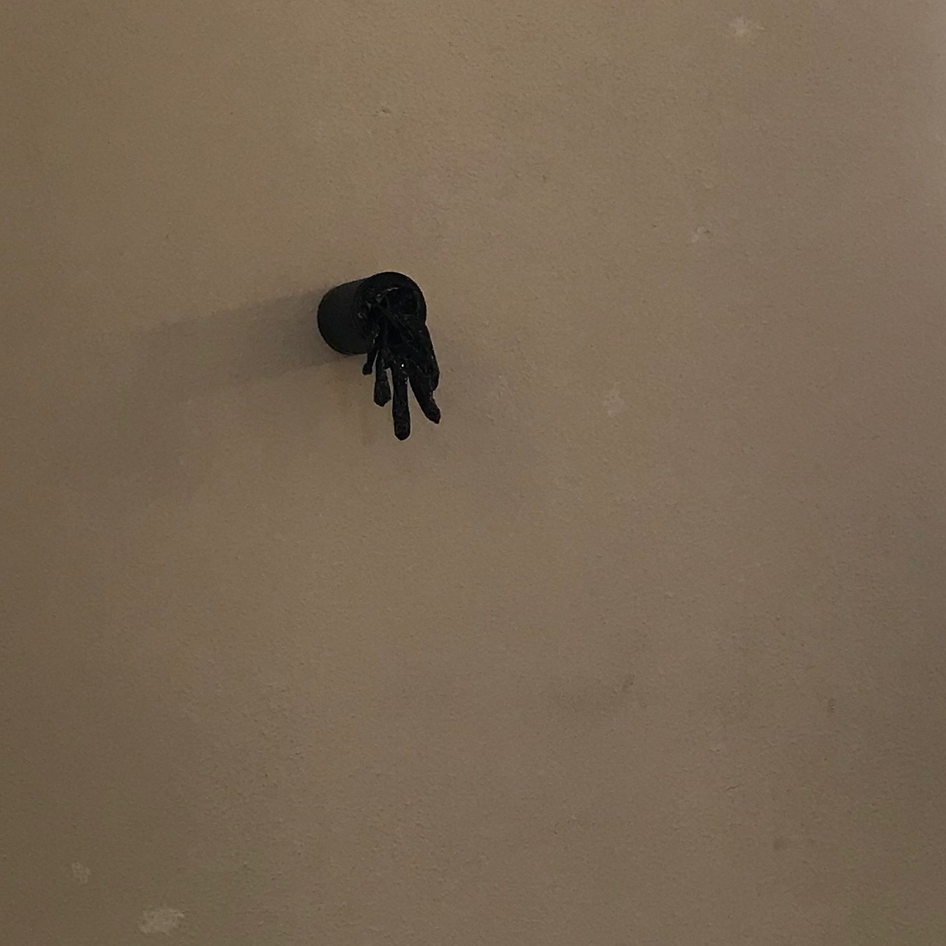 Schwarz – Heidi Becker